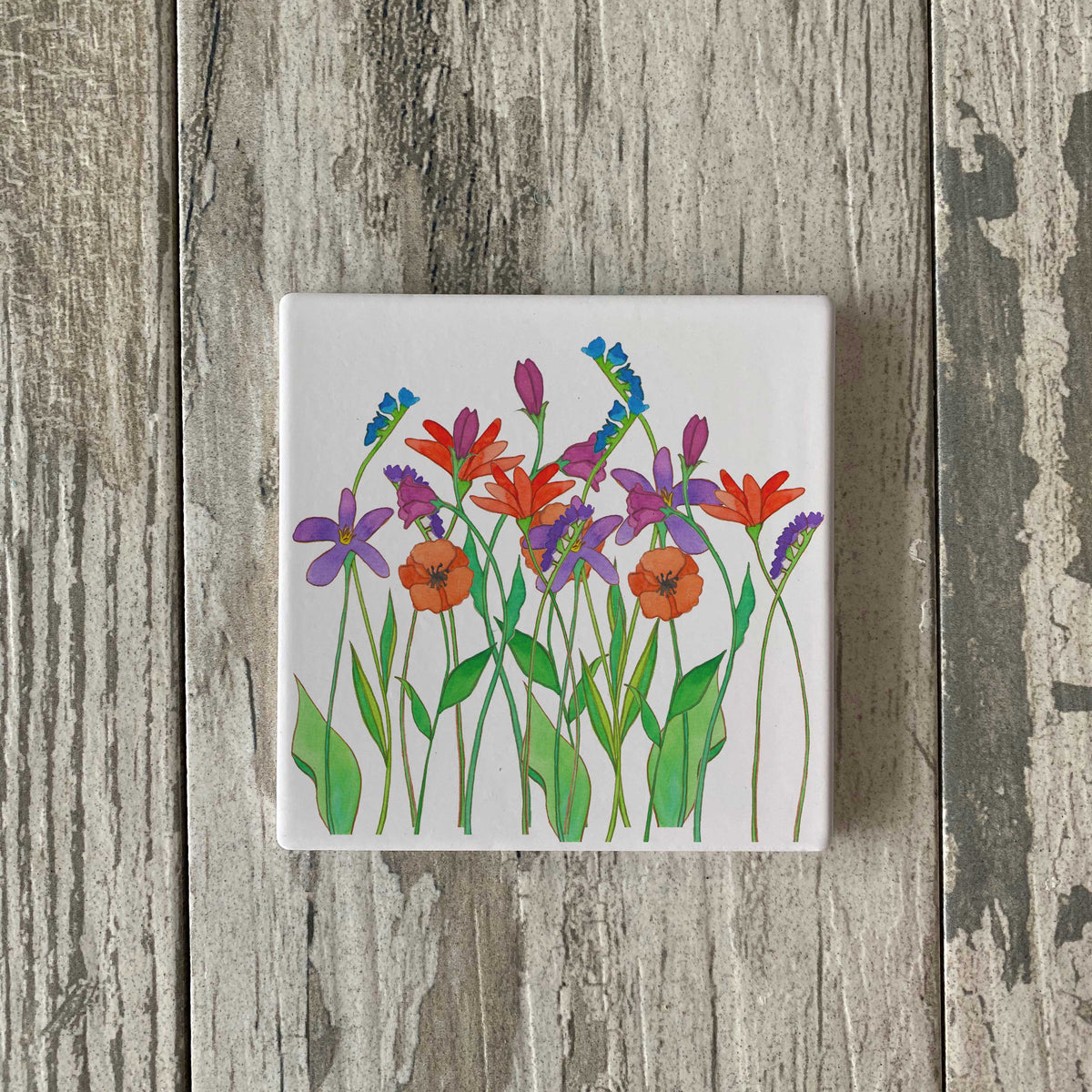 Watercolor Square Sandstone Coasters (with Cork Back) – Blue Poppy Designs